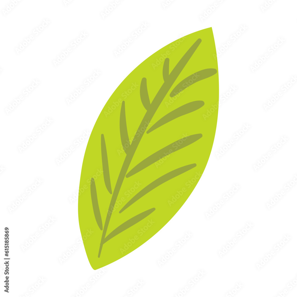 Leaf hand drawn illustration. Flat cartoon style design, isolated ...