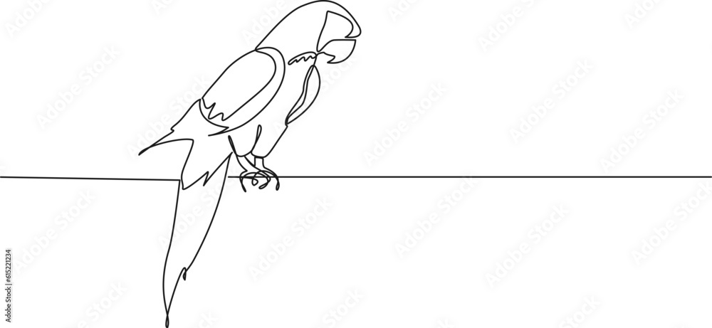 continuous single line drawing of a parrot, line art vector ...