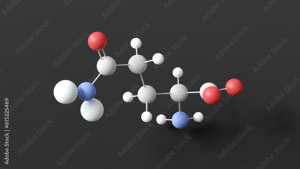 glutamine molecule, molecular structure, polar amino acid, ball and ...