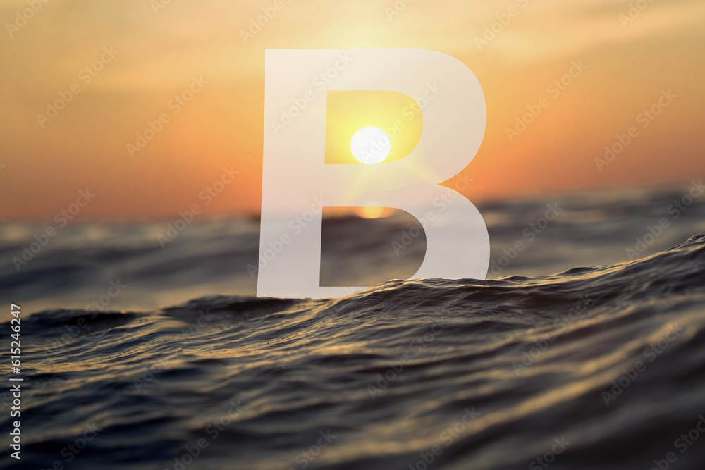 Discover a spellbinding sight as the letter "B" finds its aquatic home ...