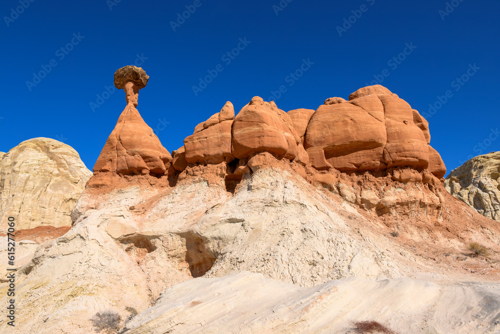 Landscape photograph of the Toadstool Hoodoos in Grand Staircase ...