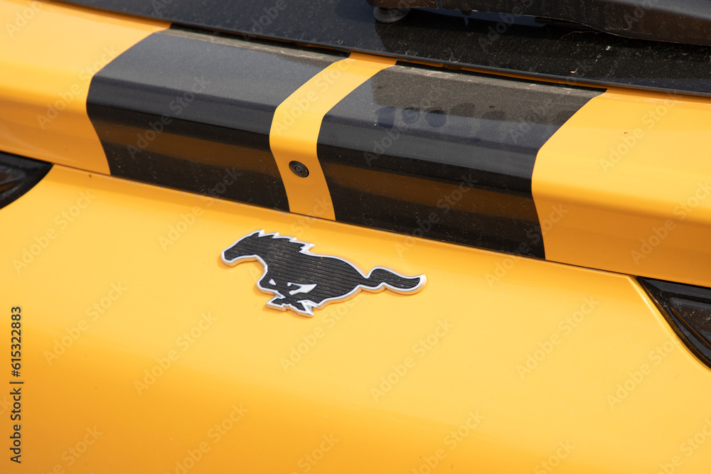 Ford Mustang Mach-E GT electric SUV car logo brand and text sign ev ...