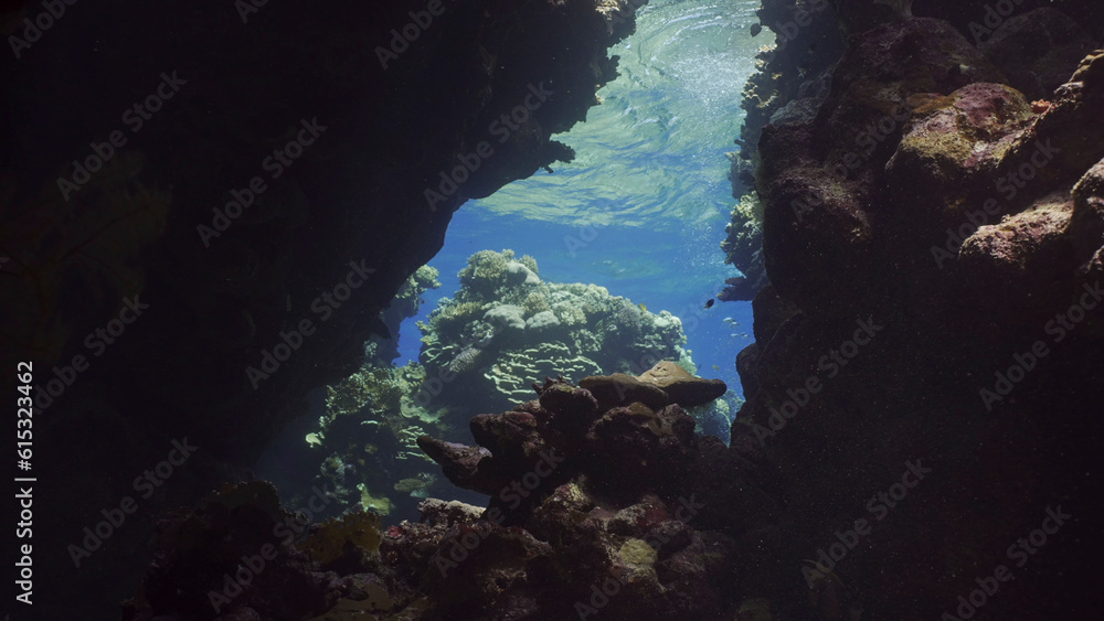 Sunshine penetrate the underwater coral cave and illuminate it ...