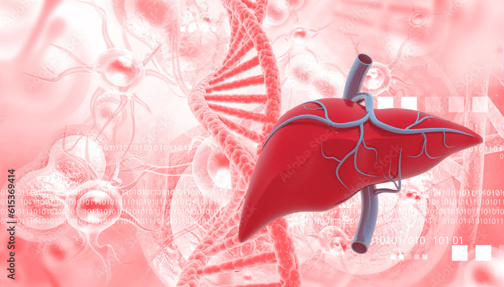 Human liver anatomy on modern scientific background. 3d illustration ...