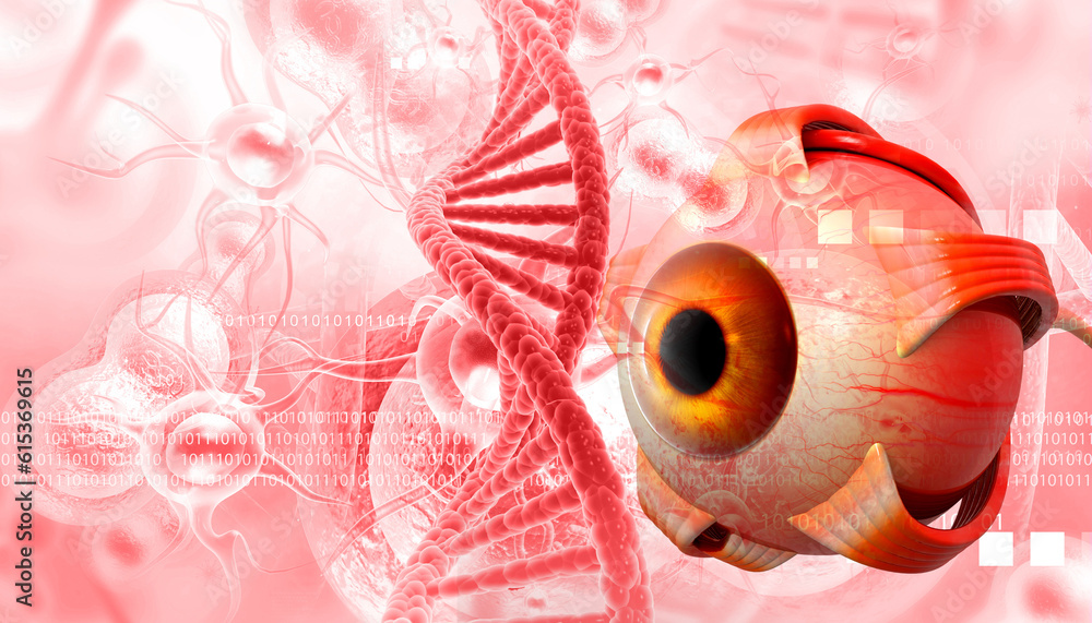 Human eye anatomy on modern scientific background. 3d illustration ...