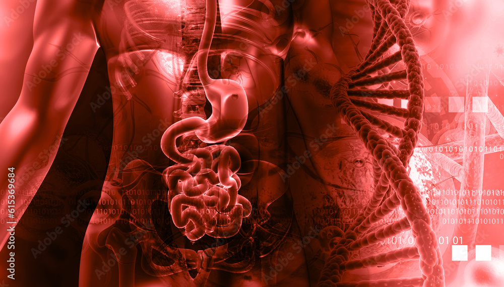 Poster Human digestive system anatomy on modern scientific background ...