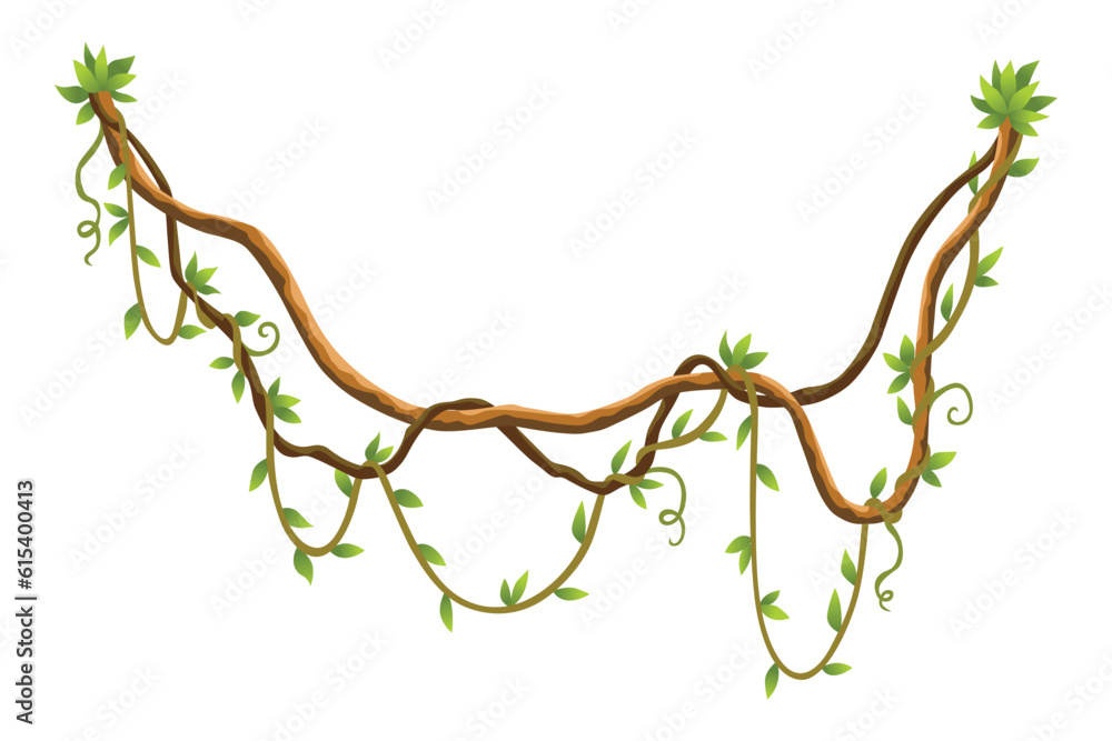 Twisted wild lianas branches banner. Jungle vine plants. Woody natural ...