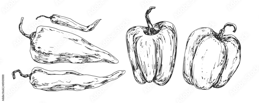 Paprika sketch set. Hand drawn pepper and chilli isolated on white ...