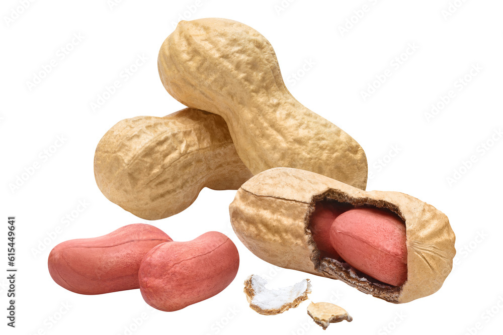 Delicious peanuts cut out Stock Photo | Adobe Stock