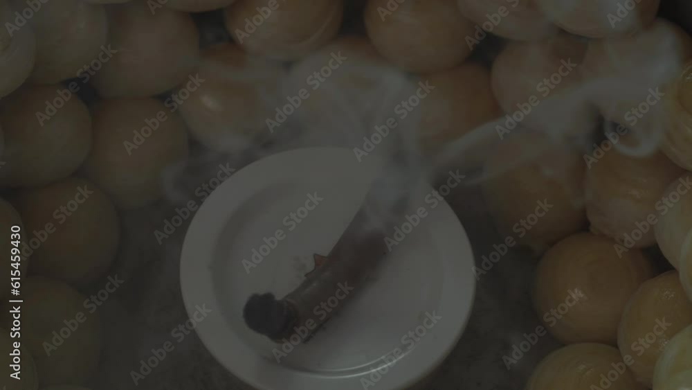 Rotating, Dolly shot of Toasted Mung Bean Cake form the oven. Chinese ...