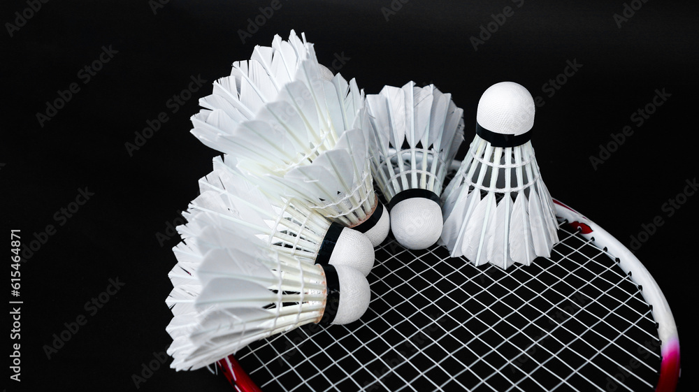 Badminton shutter cocks were put on the racket with dark background ...