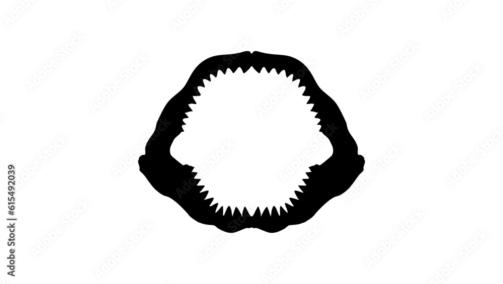 Shark Jaws Vector