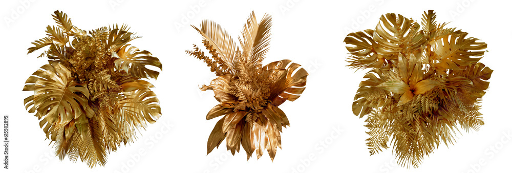 Foto de Plant group Leaves Nature Golden Tropical Forest Isolated on ...