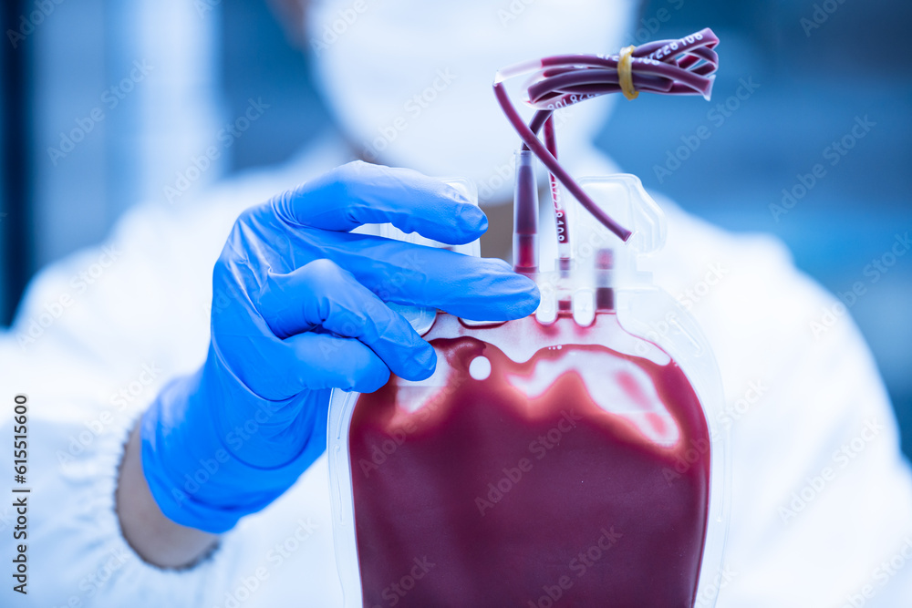 Scientist wear blue gloves hand holding red blood bag from donor at ...