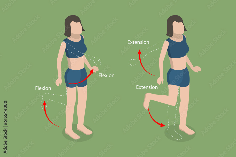 3D Isometric Flat Vector Conceptual Illustration of Flexion And ...