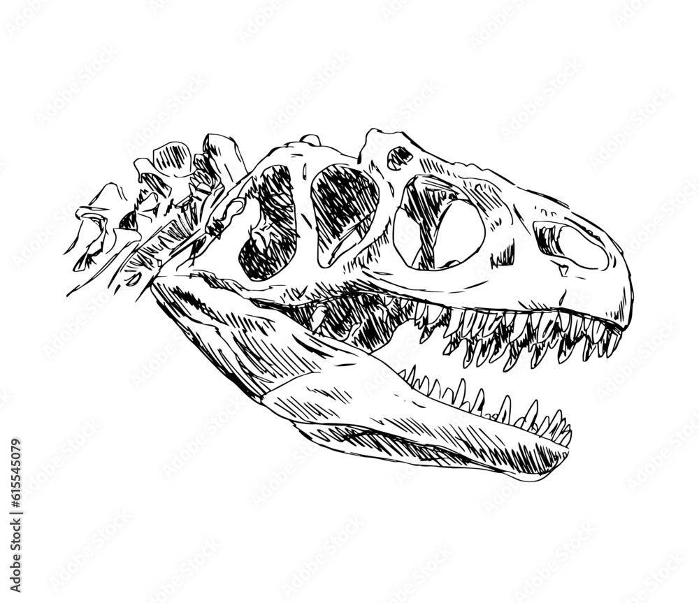 Dinosaur skull skeleton. Allosaurus lizard. Scary monster predator with ...