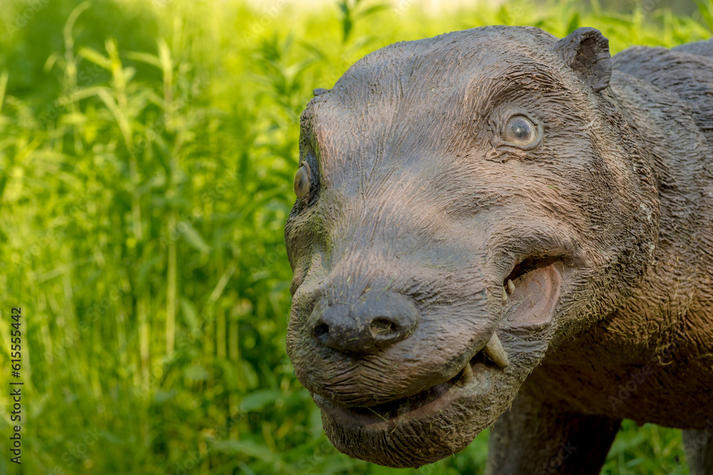 Poland Baltow May 30, 2023 at 15:40. Cynognat - predatory mammal-like ...