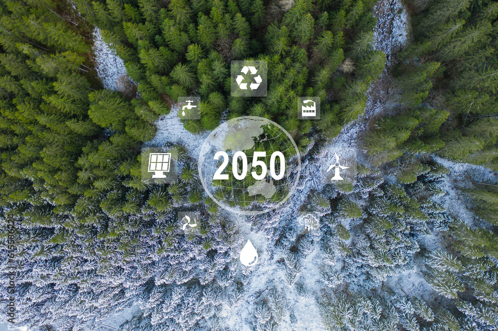 Net Zero 2050 Carbon Neutral and Net Zero Concept natural environment A ...