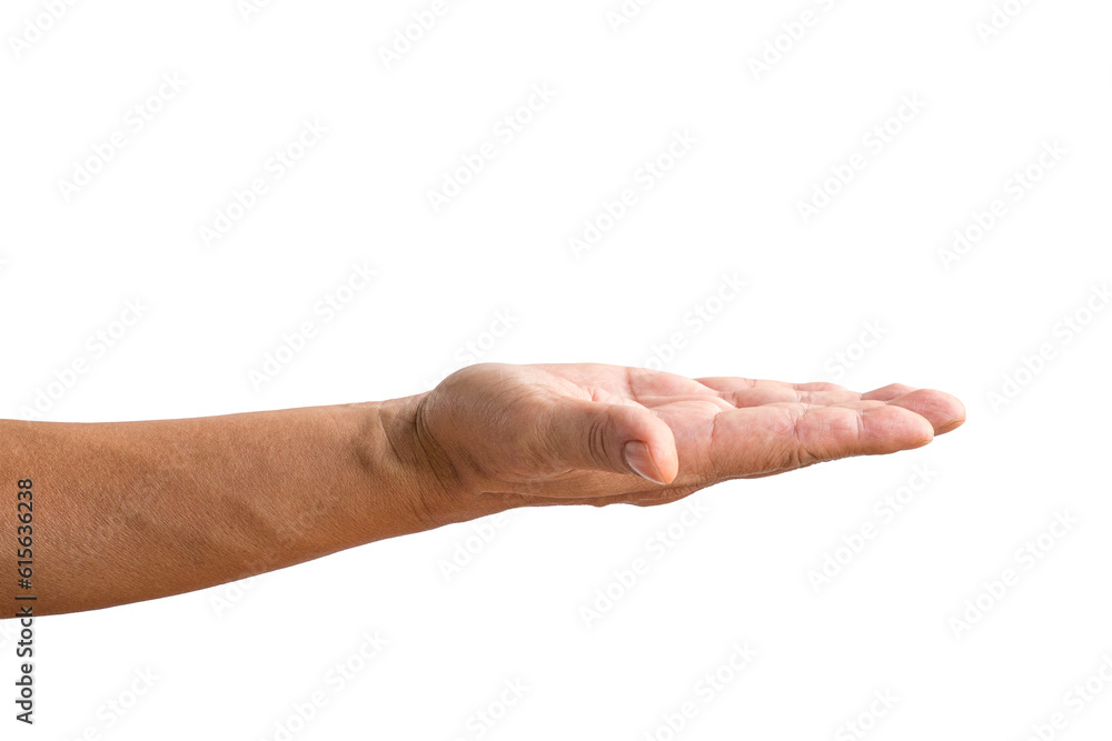 Side view of hand palm up. Isolated, transparent background. Stock Photo | Adobe Stock