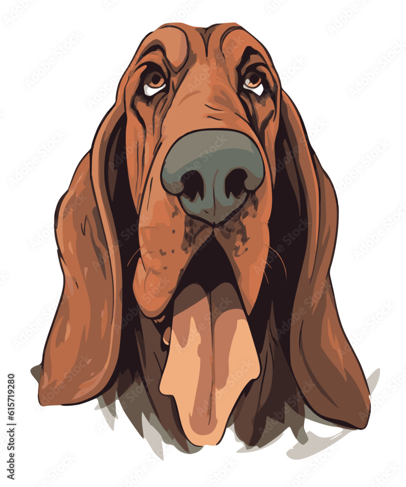Poster droopy bloodhound dog vector illustration – Wall Art | UkPosters