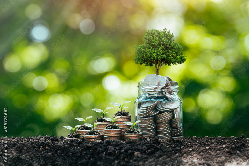 Plants That Grow in Savings Coins investment concept and with growing ...