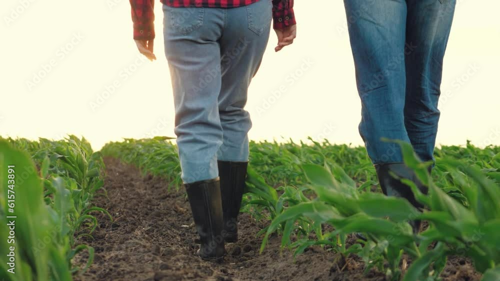 boots feet field, boots walk ground ground soil, agriculture rubber ...