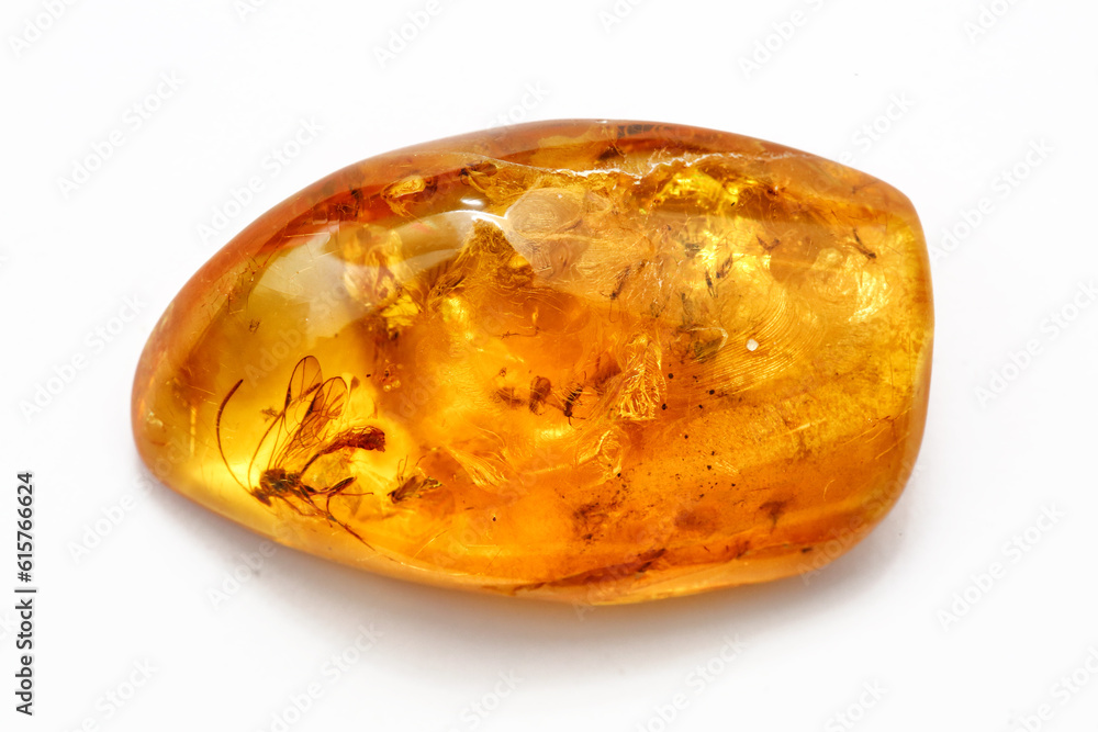 Rare insects in amber on the white background. Sun stone. Fossil ...