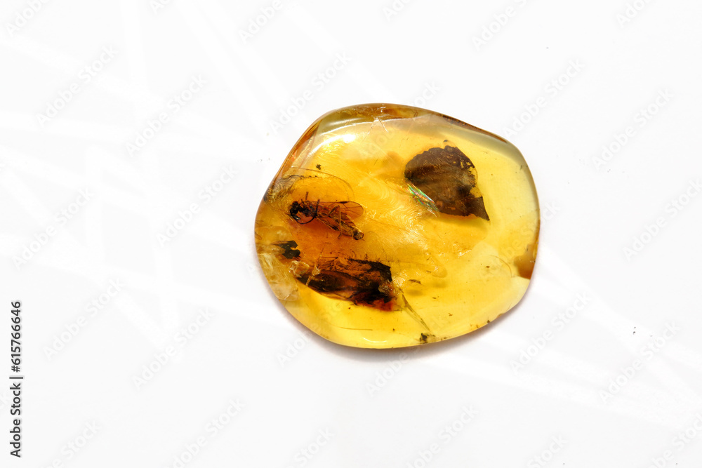 Rare insects in amber on the white background. Sun stone. Fossil ...