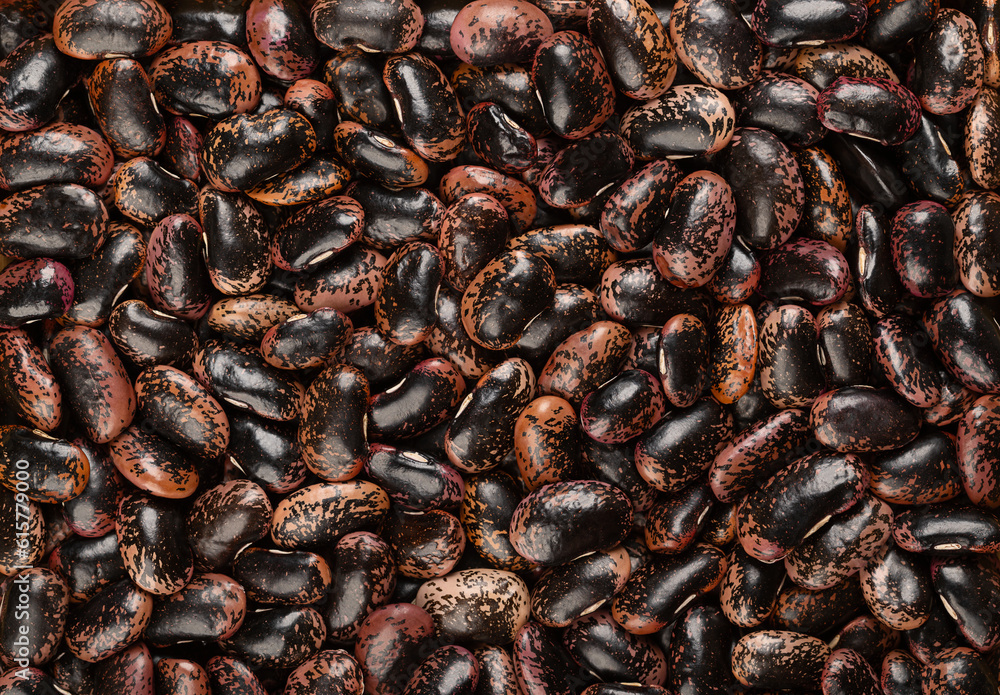 Scarlet Runner beans, from above. Dried and raw runner beans, seeds of ...