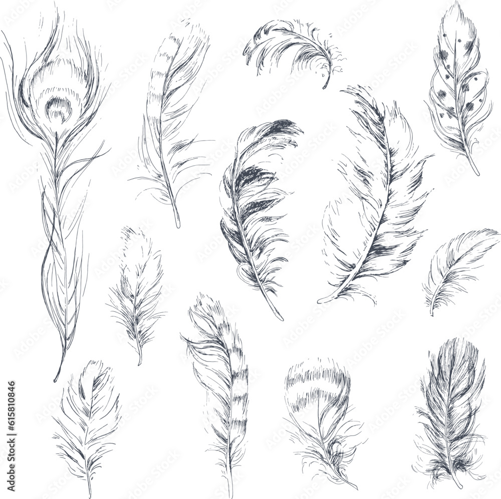 Vector feathers collection, set of 12 different falling fluffy twirled ...