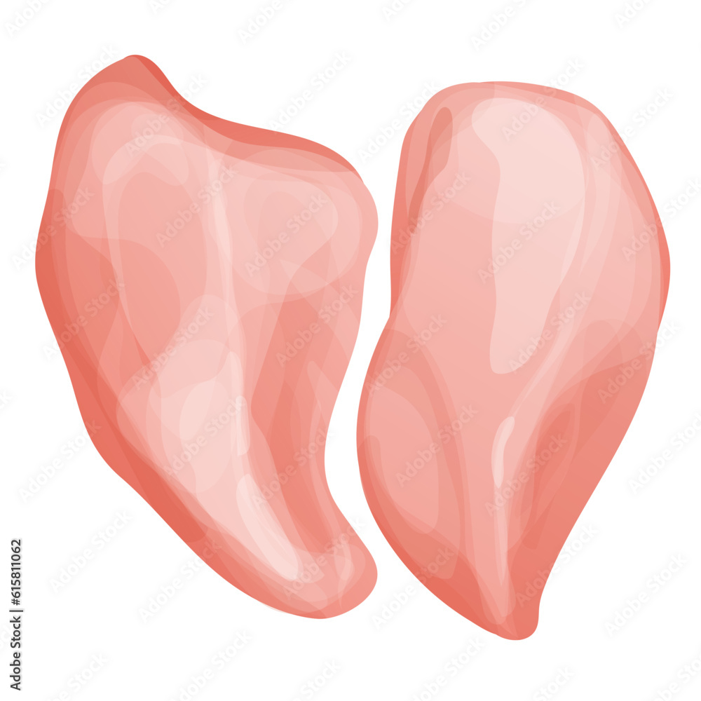 Chicken fillet meat part breast top view in cartoon style isolated on ...