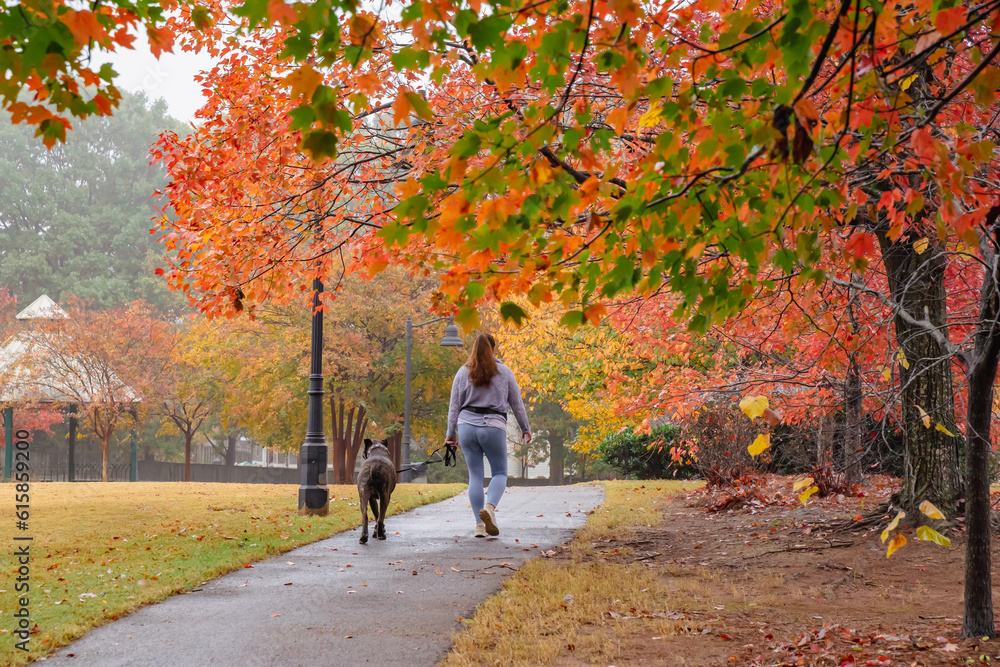 The season of autumn has arrived in the United States. The various leaf ...