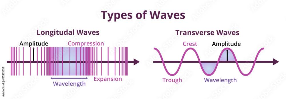 illustration or diagram of types of waves. Longitudinal and transverse ...