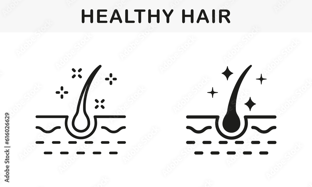 Healthy Human Follicle Shine Line and Silhouette Black Icon Set. Glossy ...