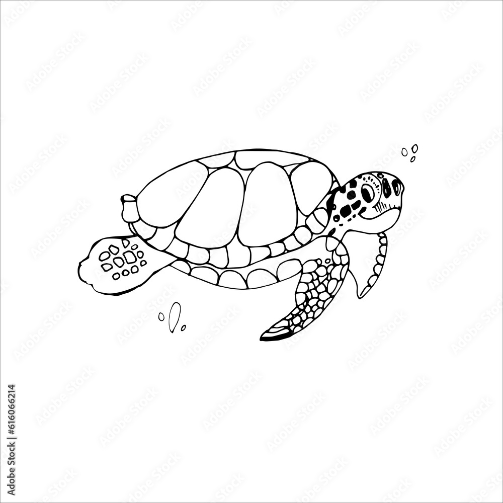 Sea turtle,underwater world, linear freehand drawing, black and white ...
