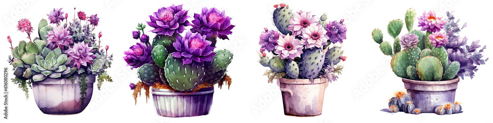 Watercolor set of purple cactus flowers clip art illustration ...