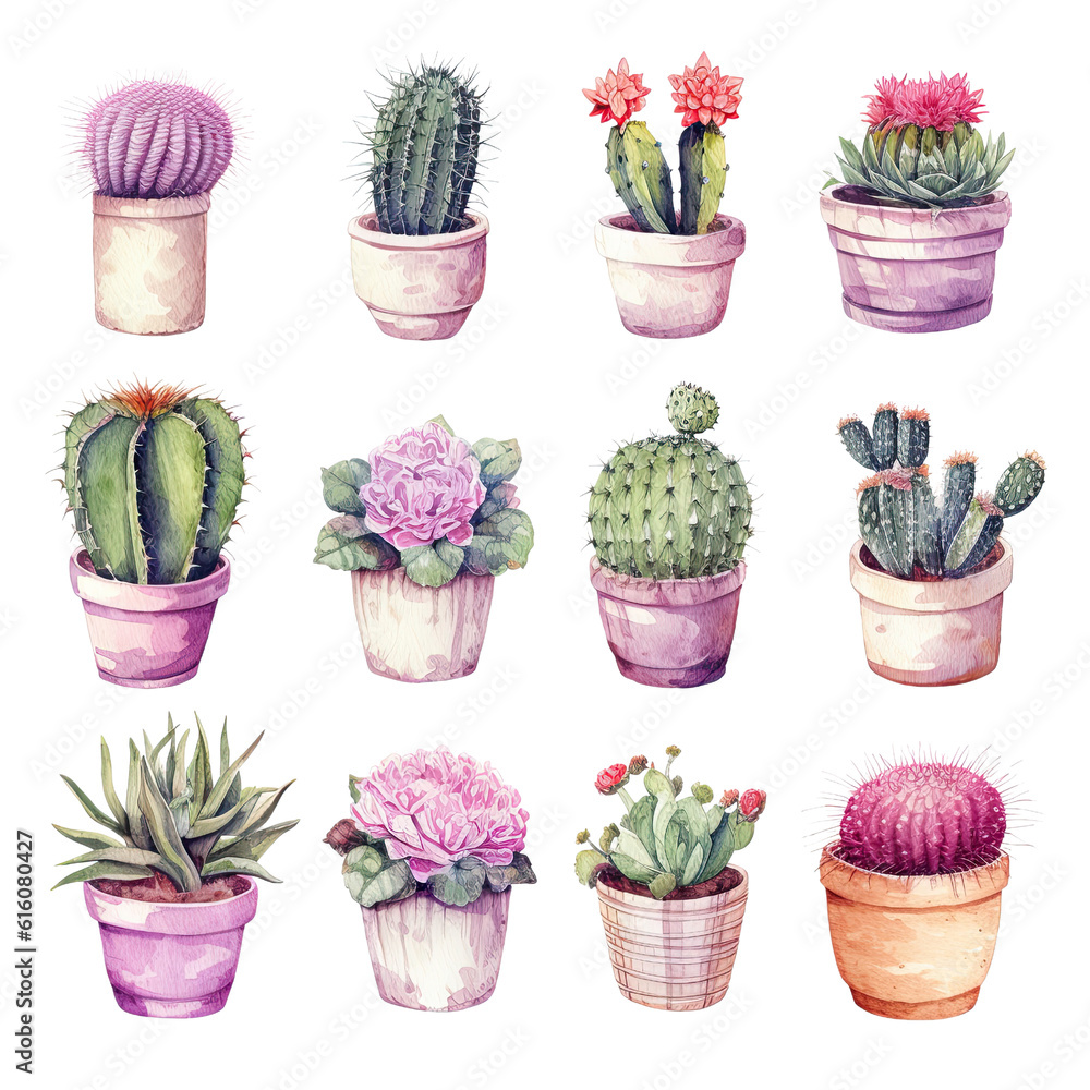 Watercolor purple cactus flowers clip art illustration transparent ...