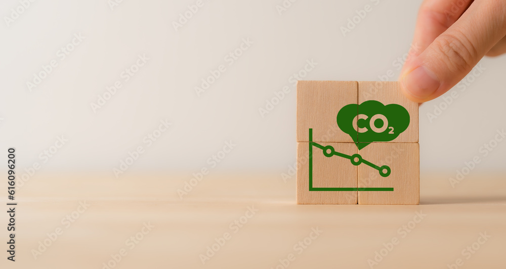 Carbon emission concept. Sustainable business development. Net zero ...