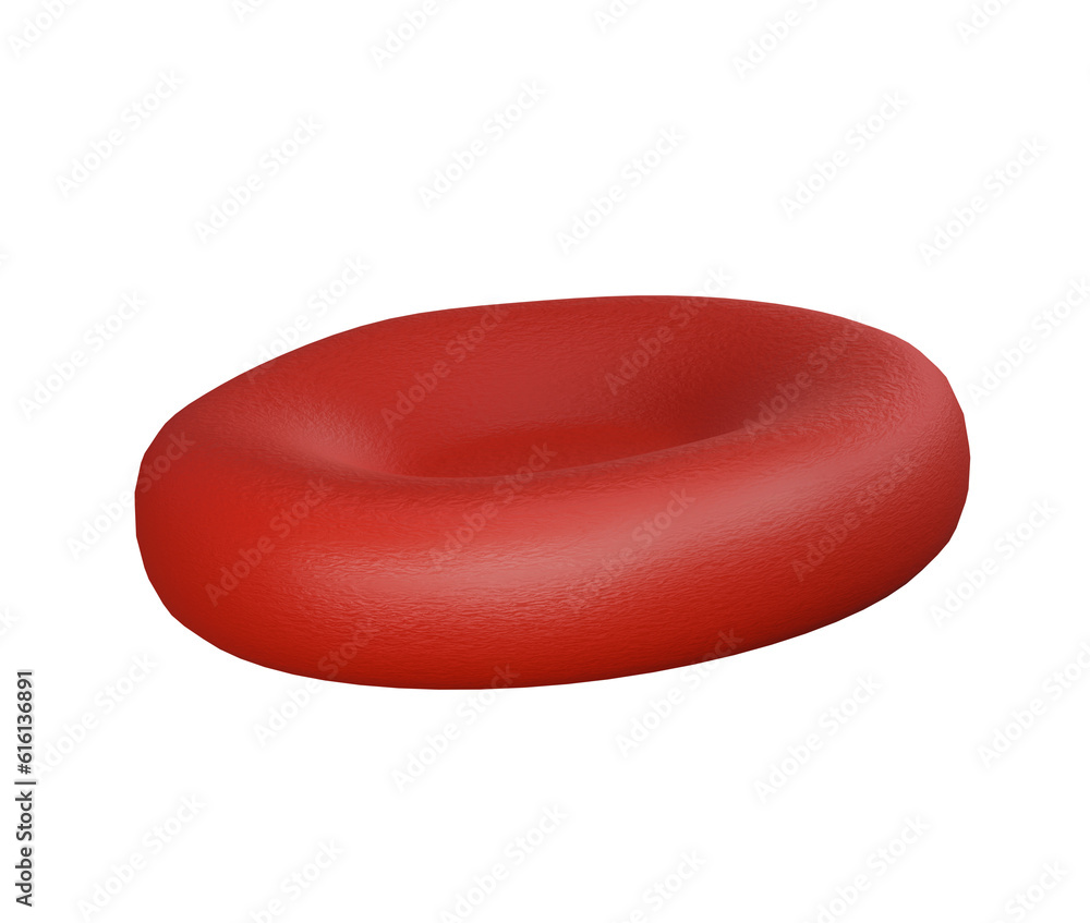 3d erythrocyte or red blood cell medicine isolated transparent pgn ...