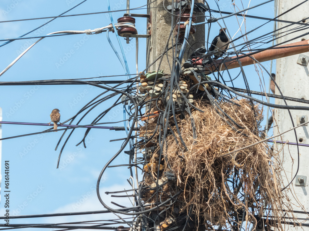 Disorganized wiring can cause confusion, increase the risk of ...