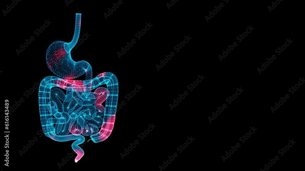3D Gastrointestinal tract Scan. Organ Scanning Interface. HUD stomach ...