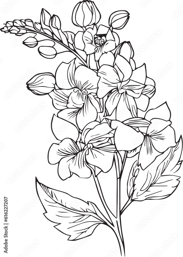 Delphinium flower drawing, delphinium tattoo black and white, pencil ...