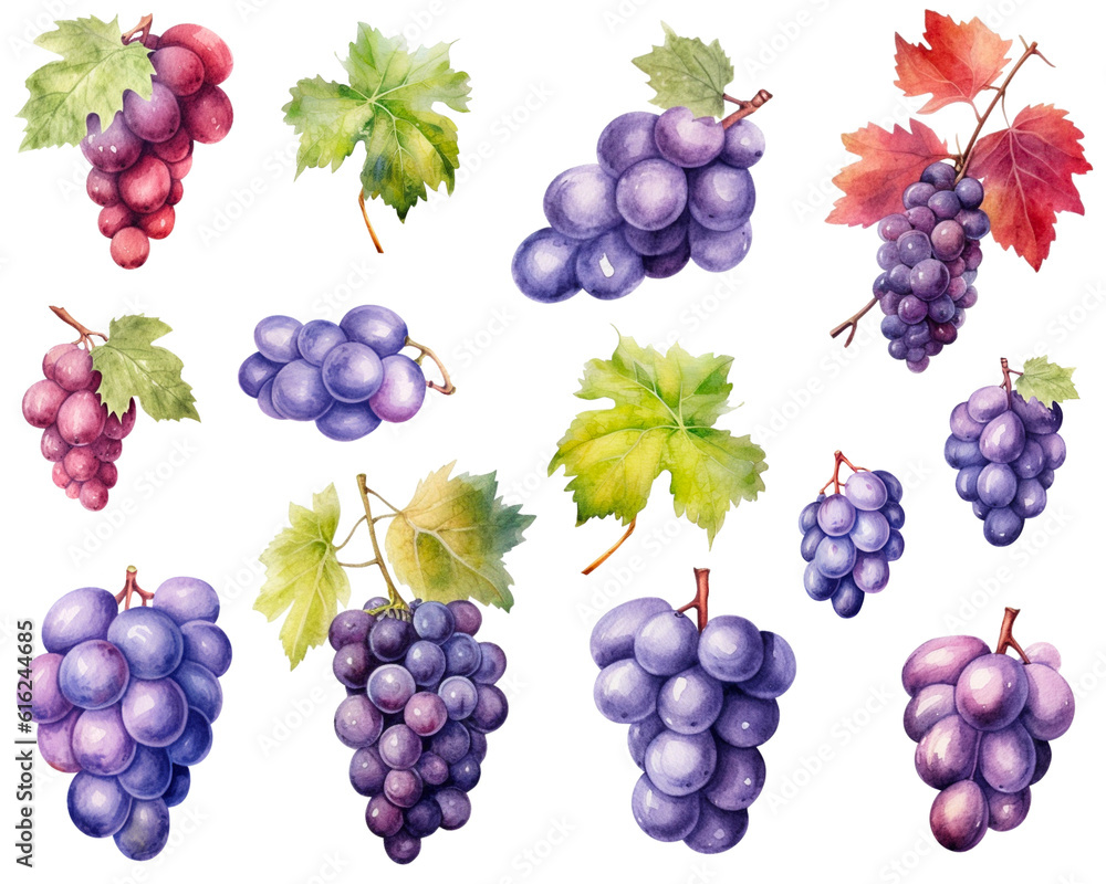 Collection of red grapes watercolor set isolated on white background ...