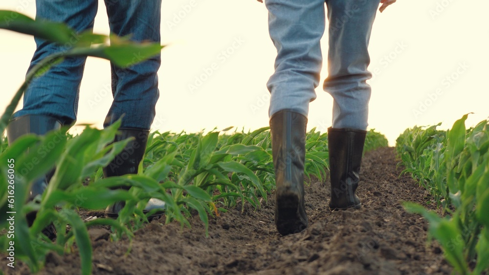 boots feet field, boots walk ground ground soil, agriculture rubber ...