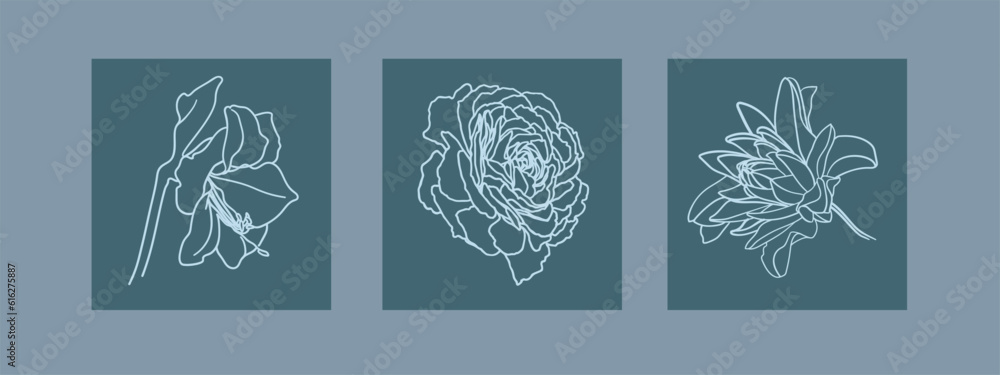 White flowers collection outline vector clipart. Flowers line art ...