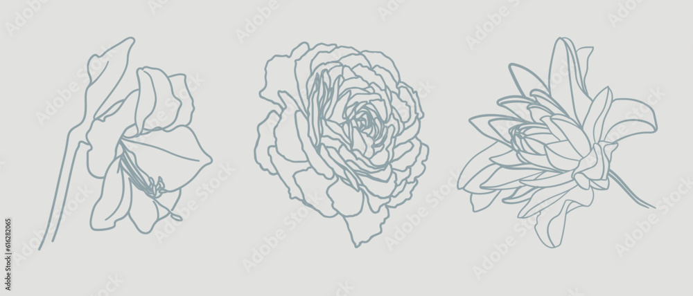 Gray flowers collection outline vector clipart. Flowers line art tattoo ...