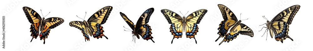Swallowtail Butterfly Clipart: Stunning Swallowtails and Butterflies in ...