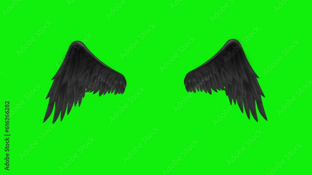 Real Angel wings green screen pack of three video , flying wings green ...