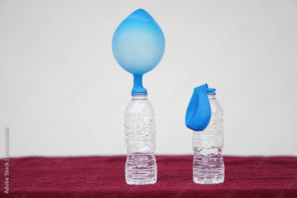 Science experiment , pink inflated balloons and flat balloon on top of ...