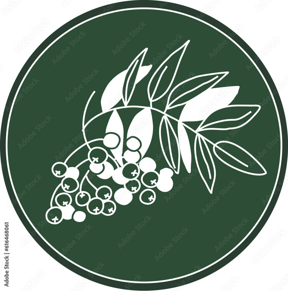 White logo branches of rowan on a dark green background. Celtic ...